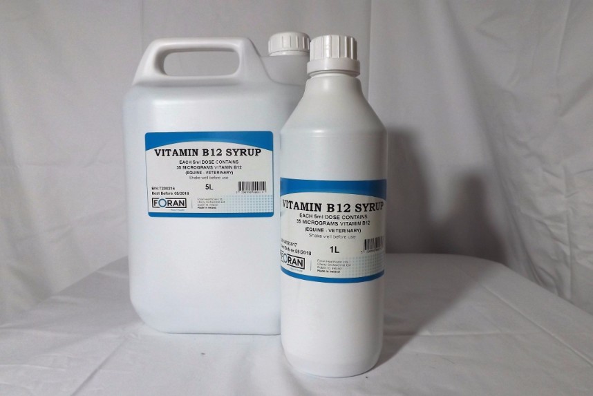 B12 Syrup - Greyhound and Petworld