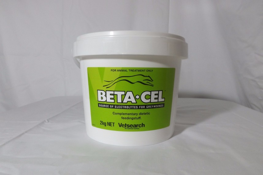 Betacel - Greyhound and Petworld