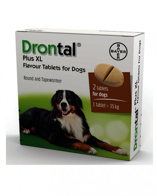 Drontal Archives - Greyhound and Petworld
